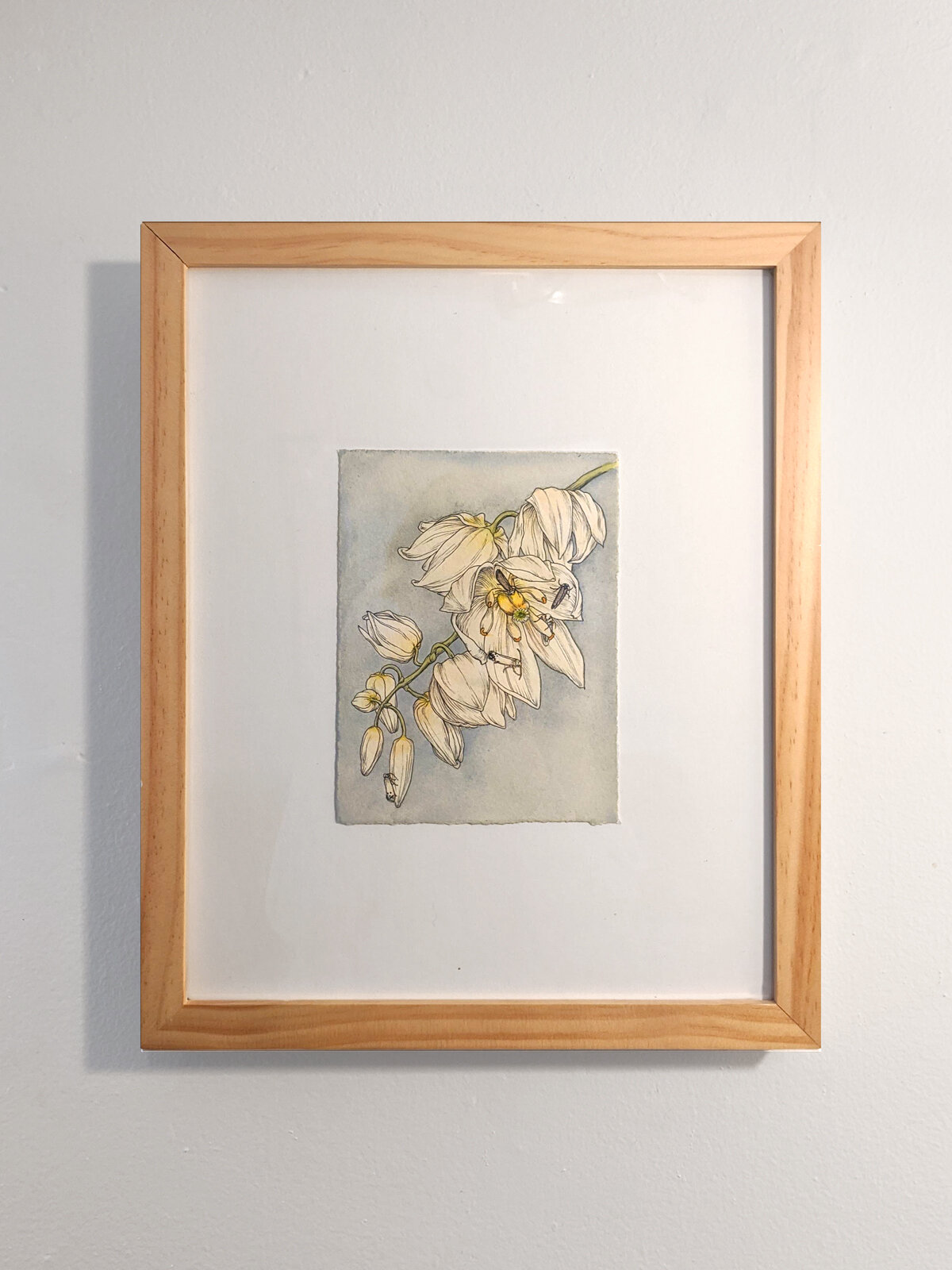 Shop — MARGARET GALLAGHER