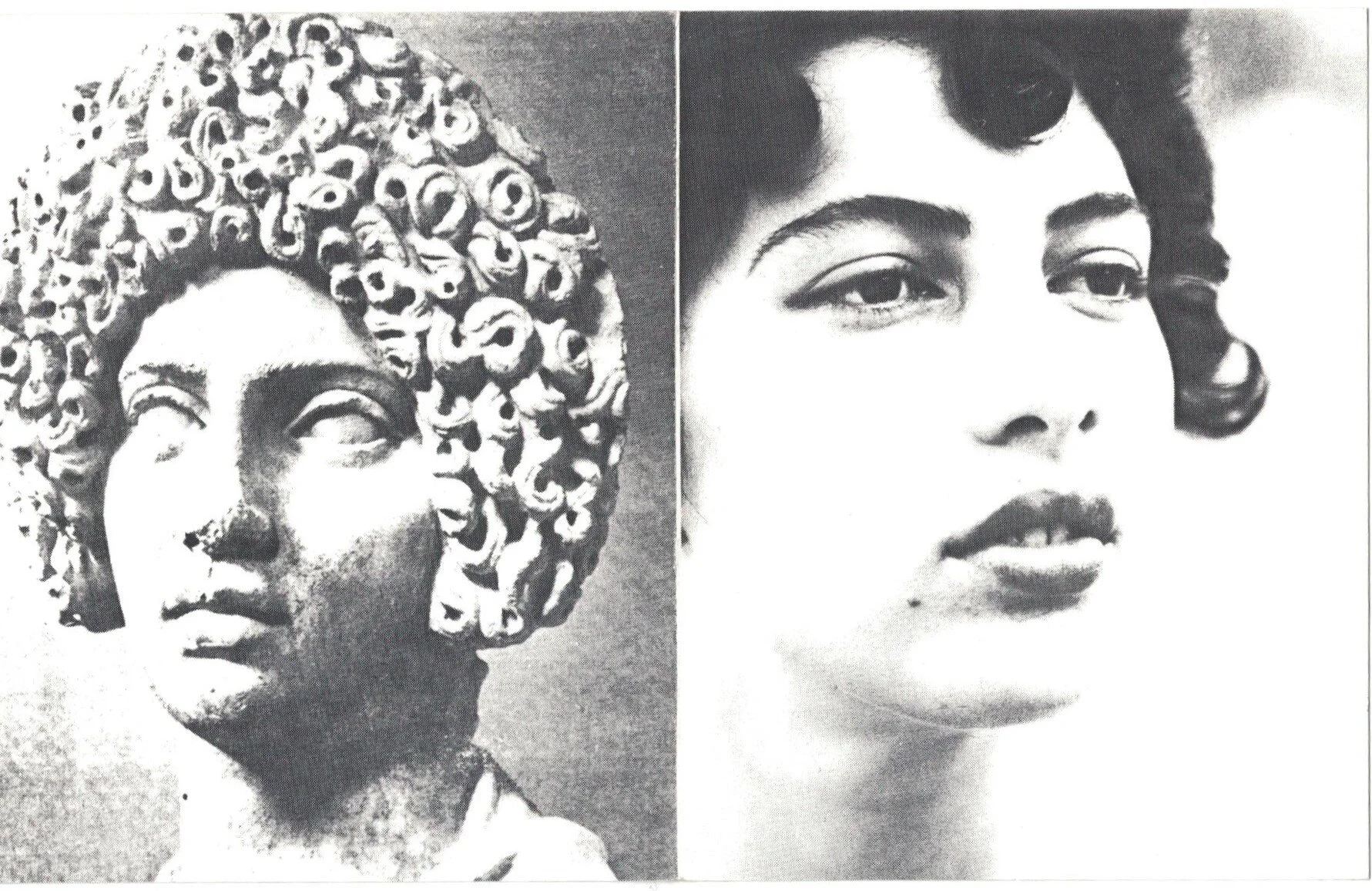 TRIBES FISCAL SPONSEE - CO — A Gathering of the Tribes