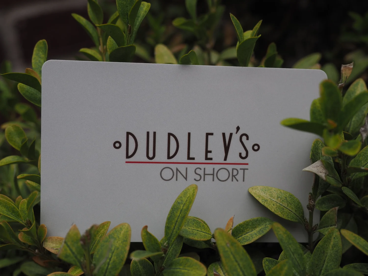 Dudley's - Home