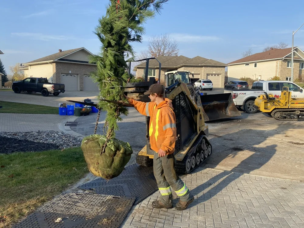 ArborWorks Tree Removal & Construction Service | North Bay, ON | (Free ...