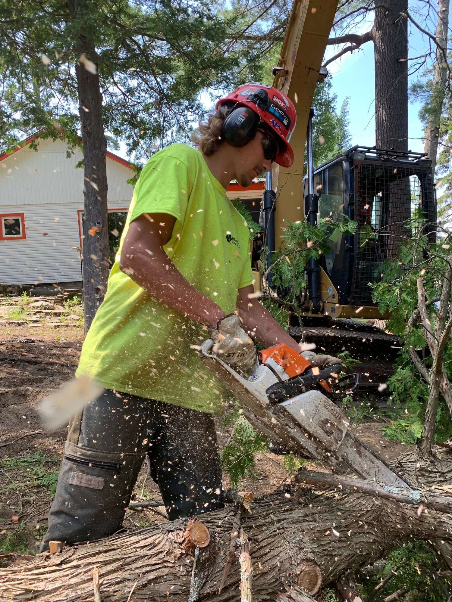 ArborWorks Tree Removal & Construction Service | North Bay, ON | (Free ...