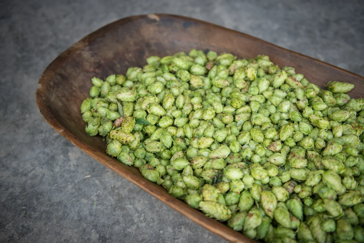 Parsons Brewing Company