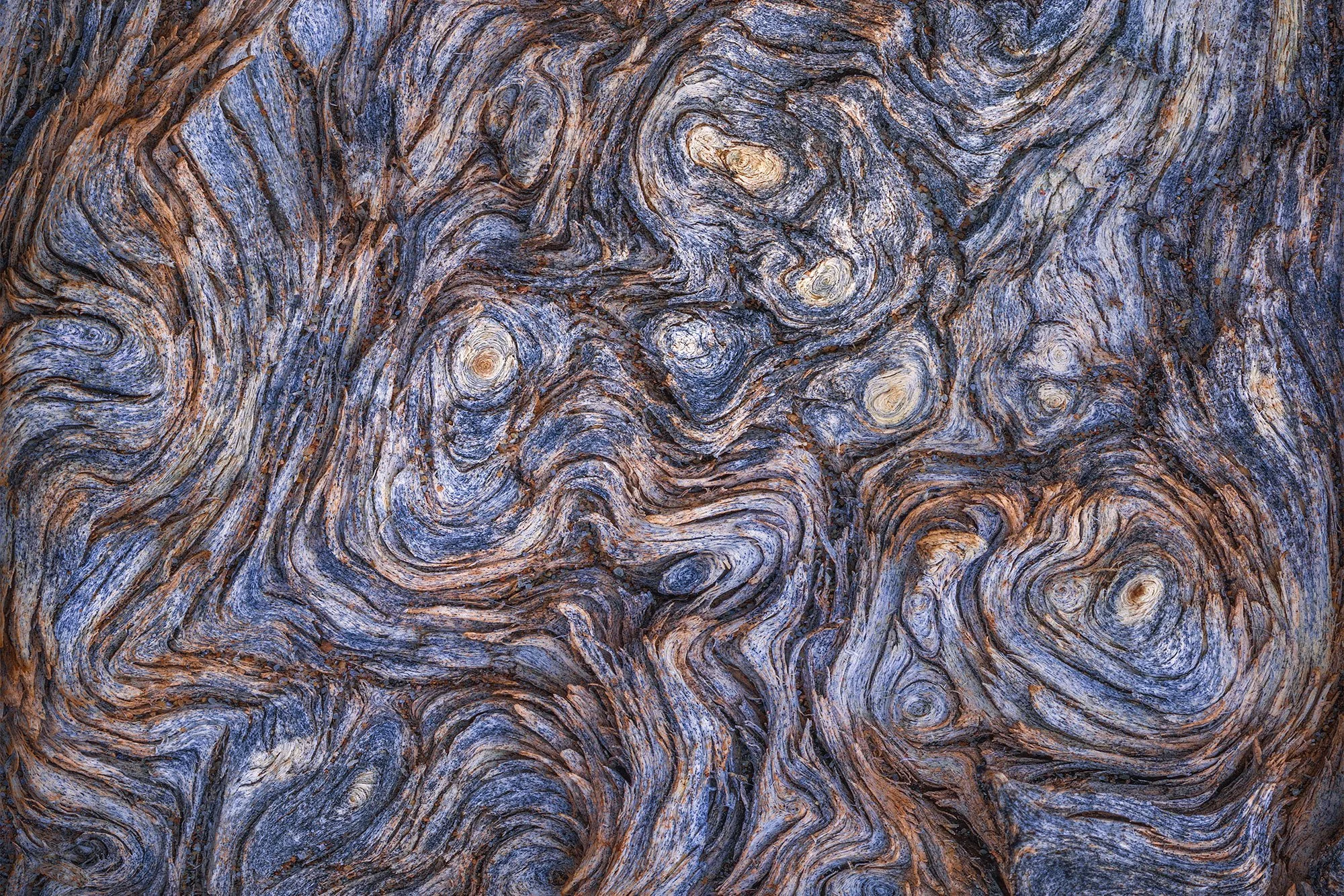 Photographs — Alex Noriega Nature Photography