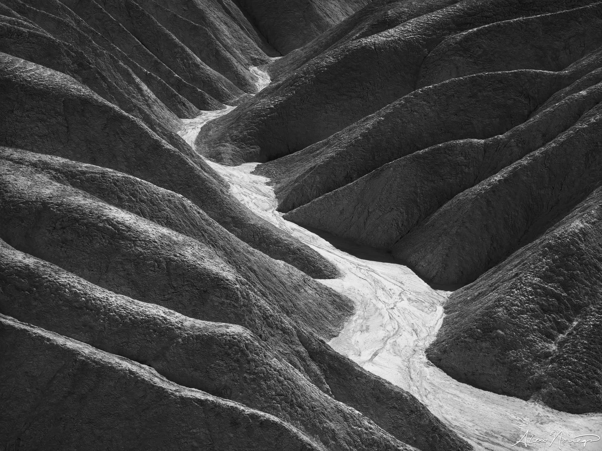 2023 — Alex Noriega Nature Photography