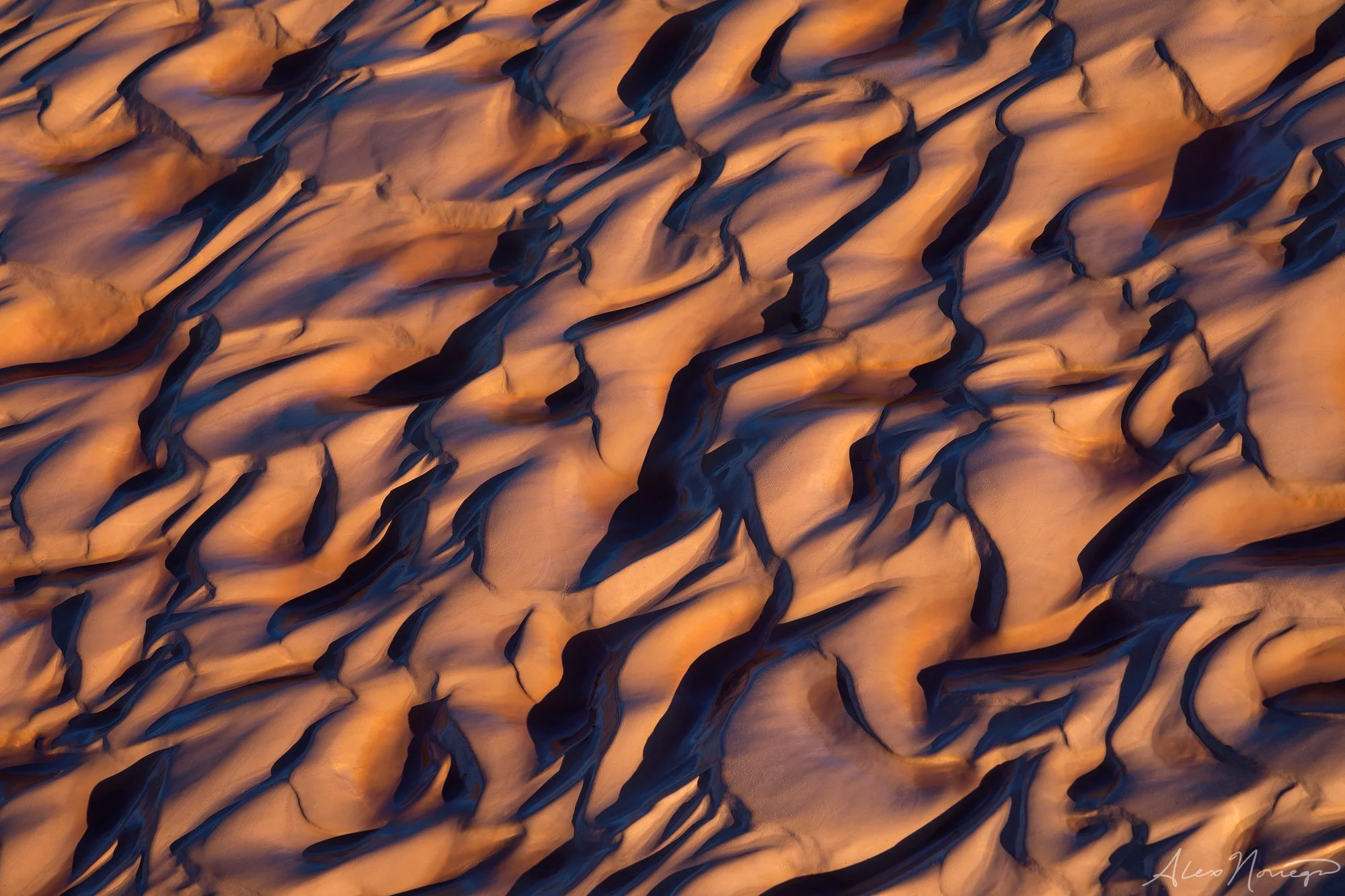 Photographs — Alex Noriega Nature Photography