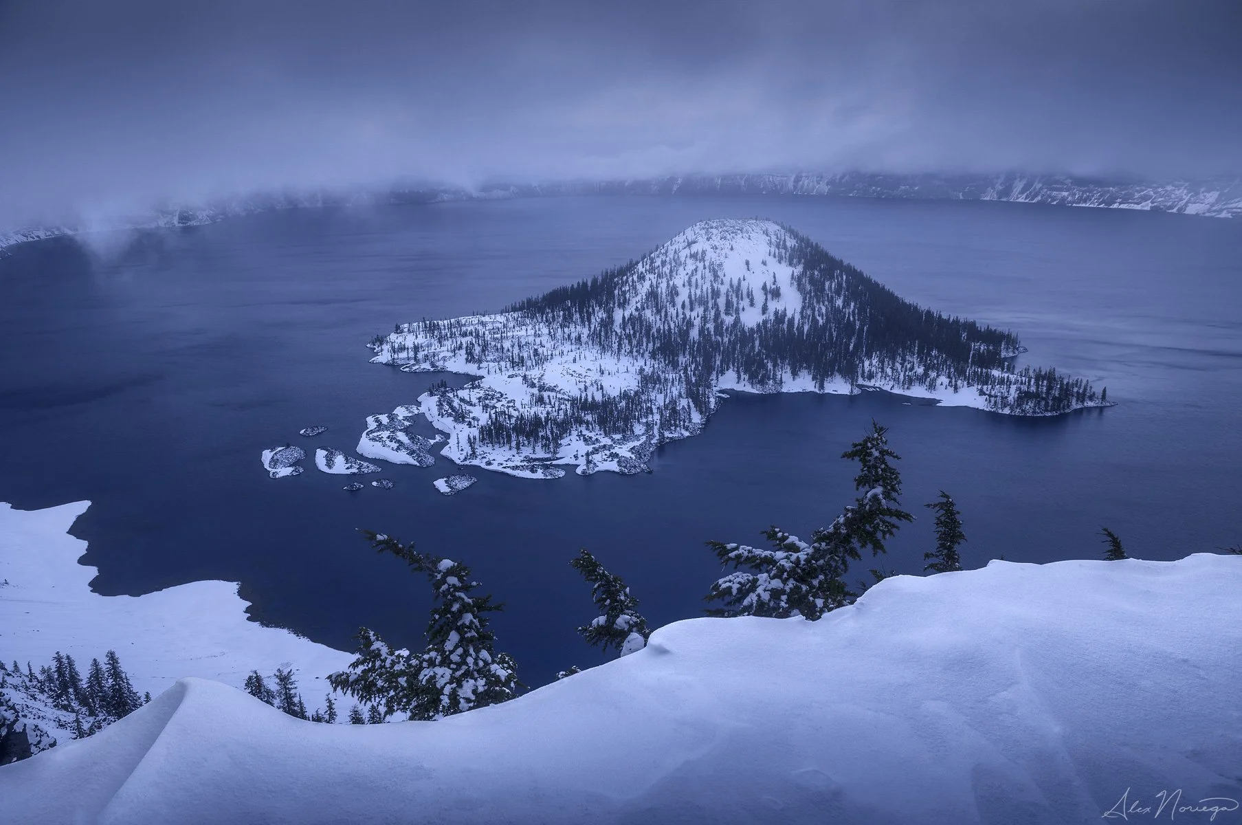 Photographs — Alex Noriega Nature Photography