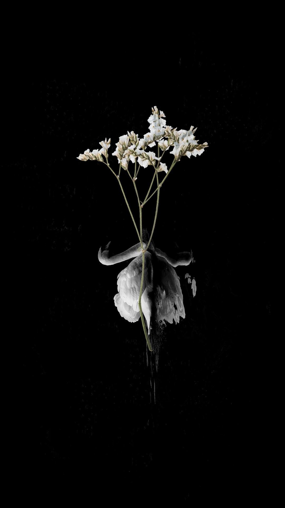 Grief is an Origami Swan: Unfolding the Complexities of Loss – easy ...