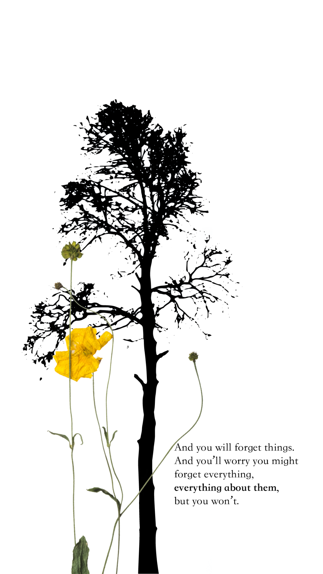 Grief is an Origami Swan: Unfolding the Complexities of Loss – easy ...