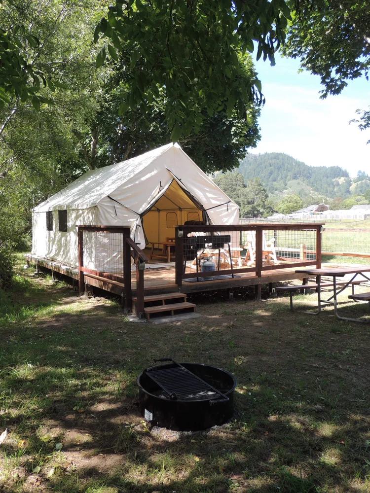 All Accommodation Types — Casini Ranch Family Campground
