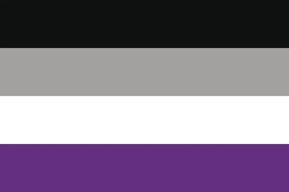 Pride Flag Guide: Pride Flags and their Meanings | SFGMC