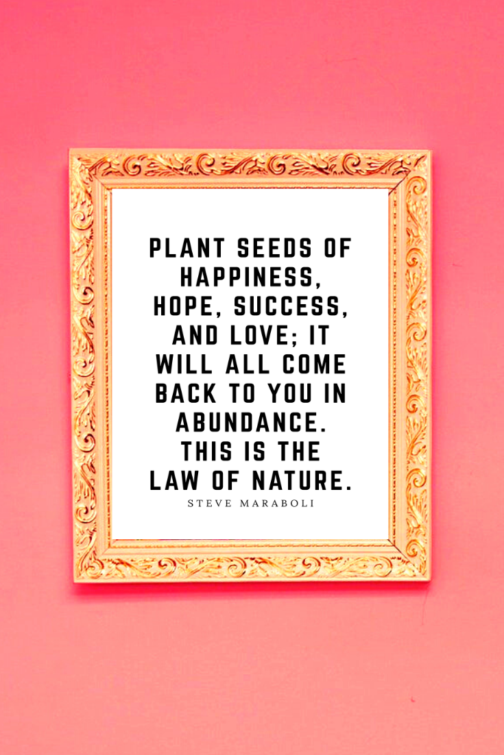 Plant Seeds Quote