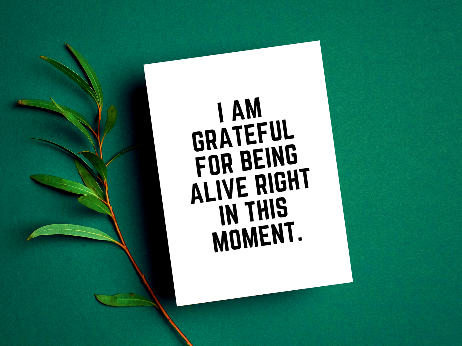 EVERY DAY IN EVERY WAY I’M GETTING BETTER AND BETTER — Peace to the ...