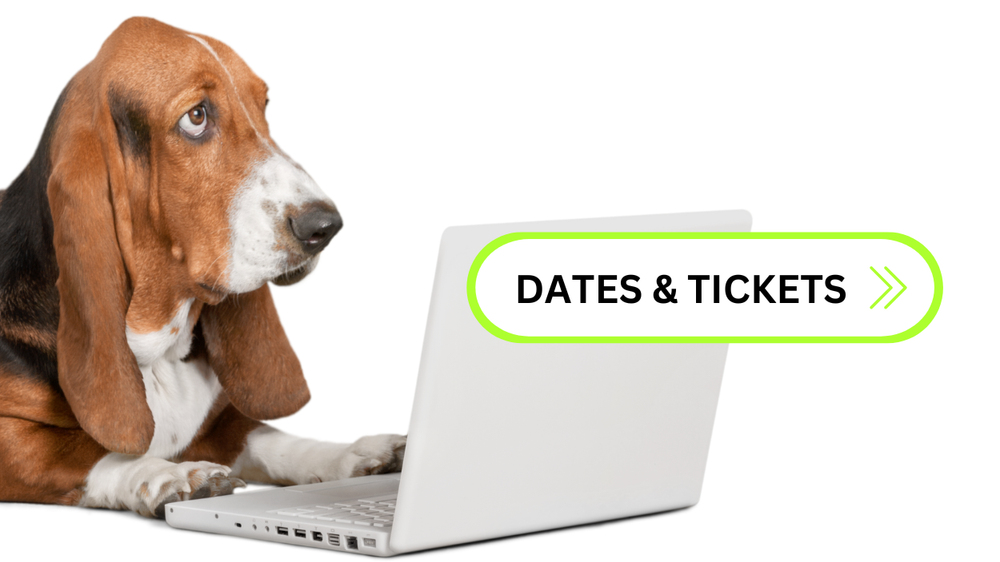 The Dog Film Festival®