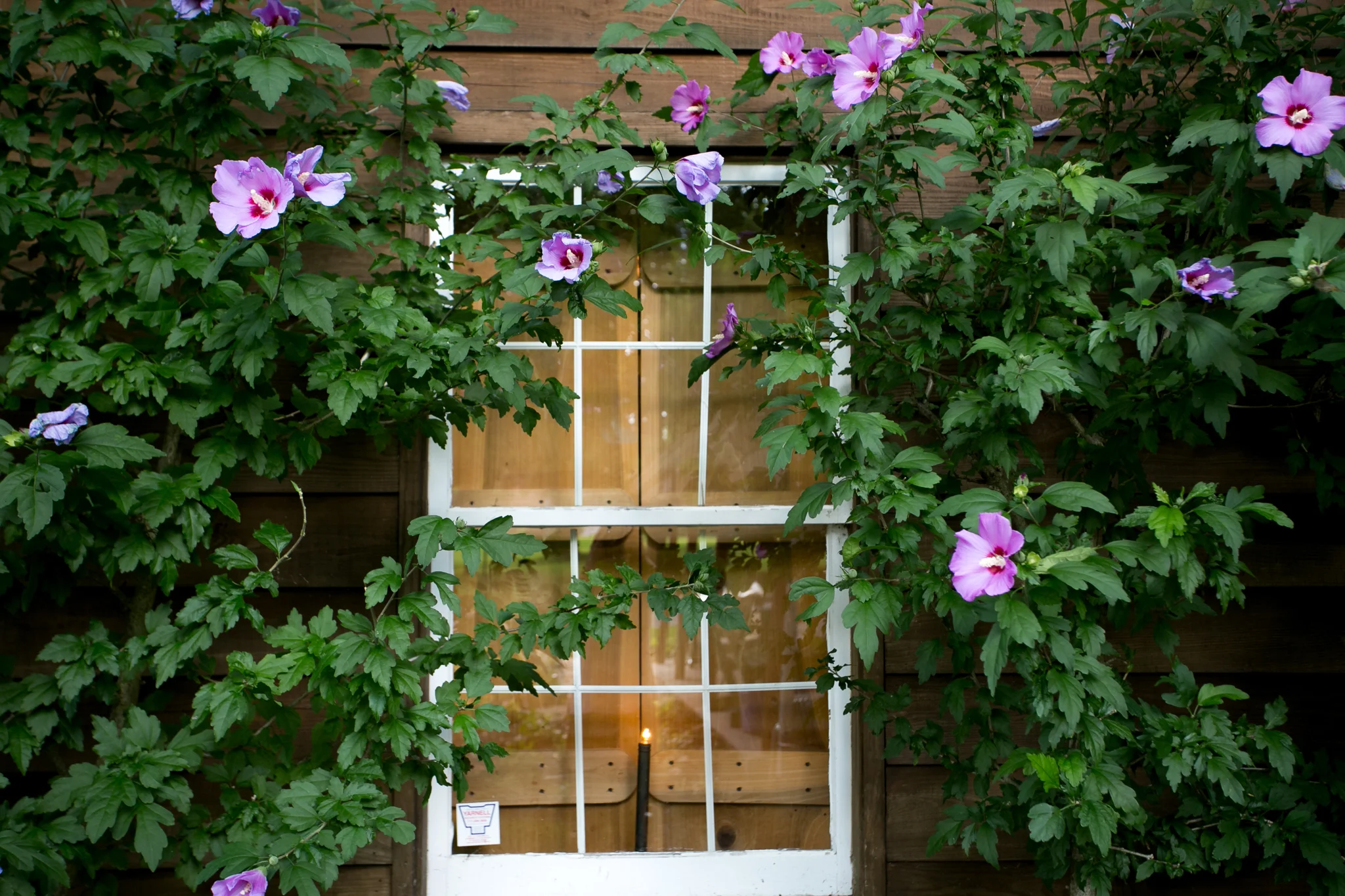 Photo Gallery — Eicher Arts Center