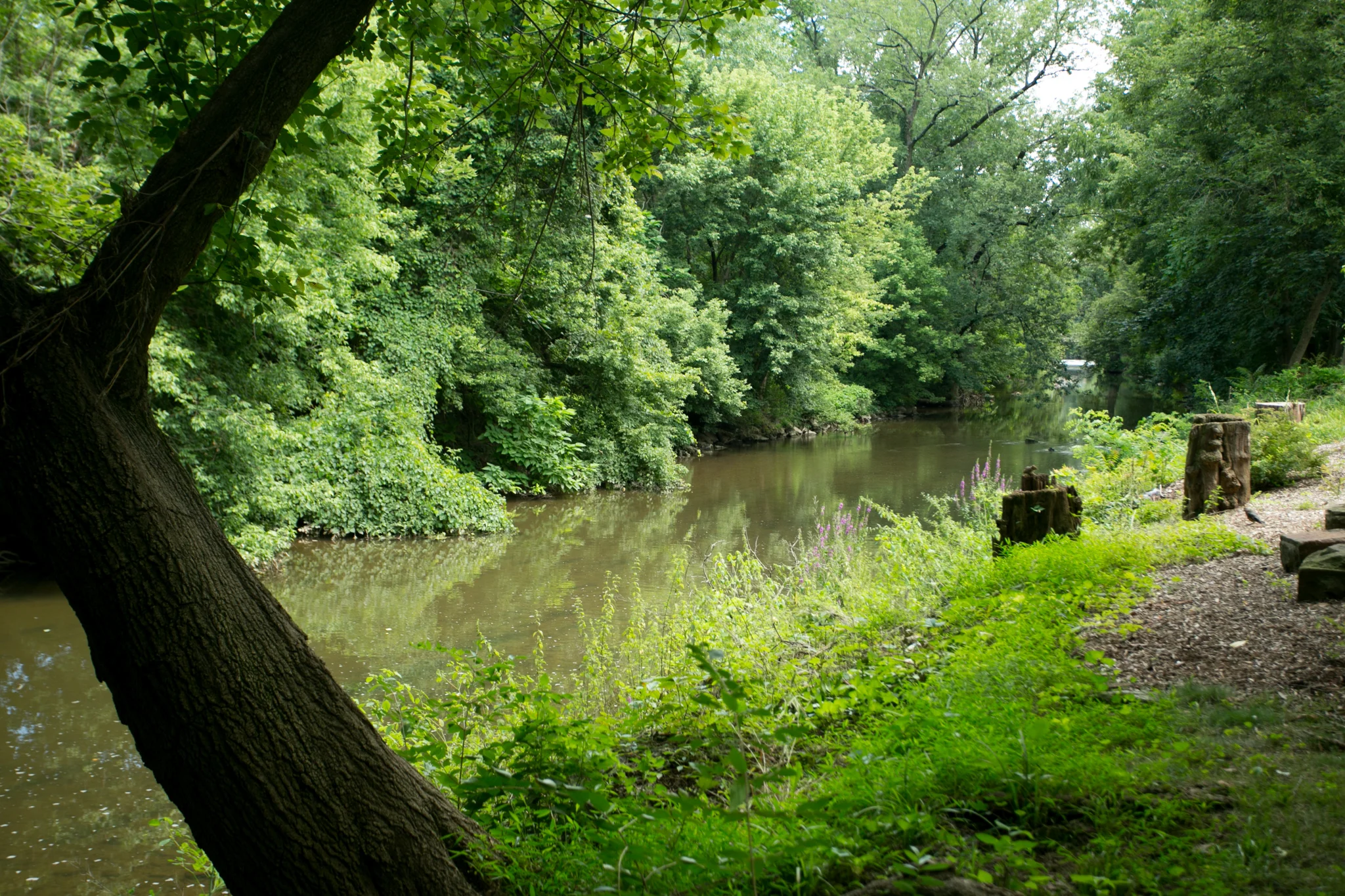 Photo Gallery — Eicher Arts Center