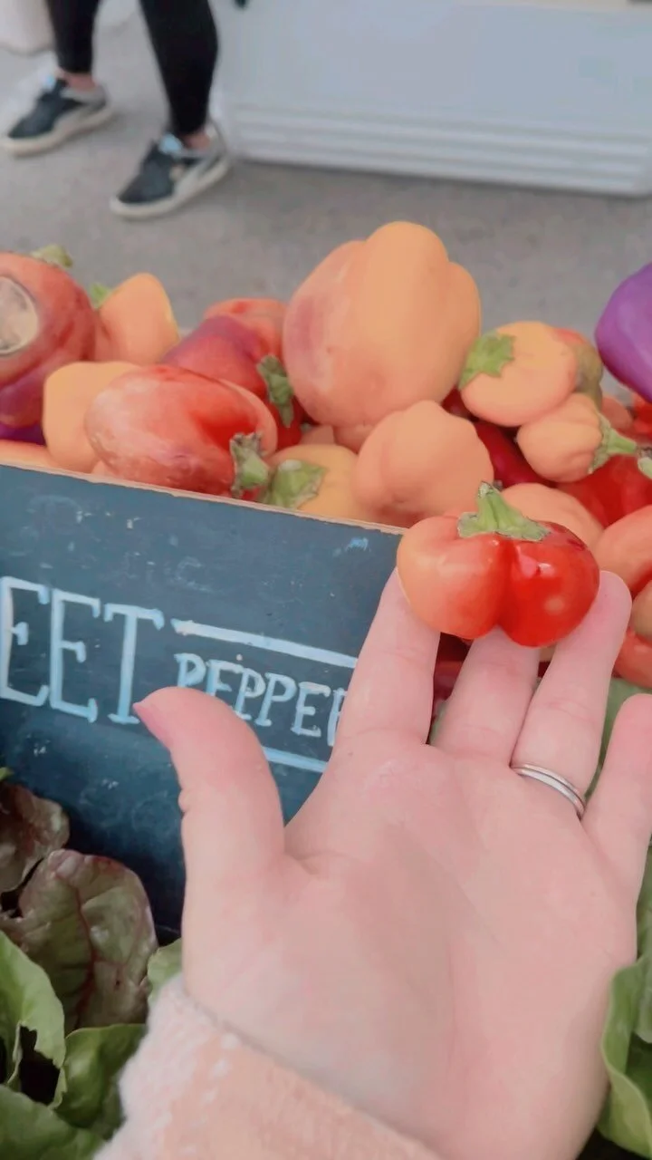 World Hunger Relief Institute