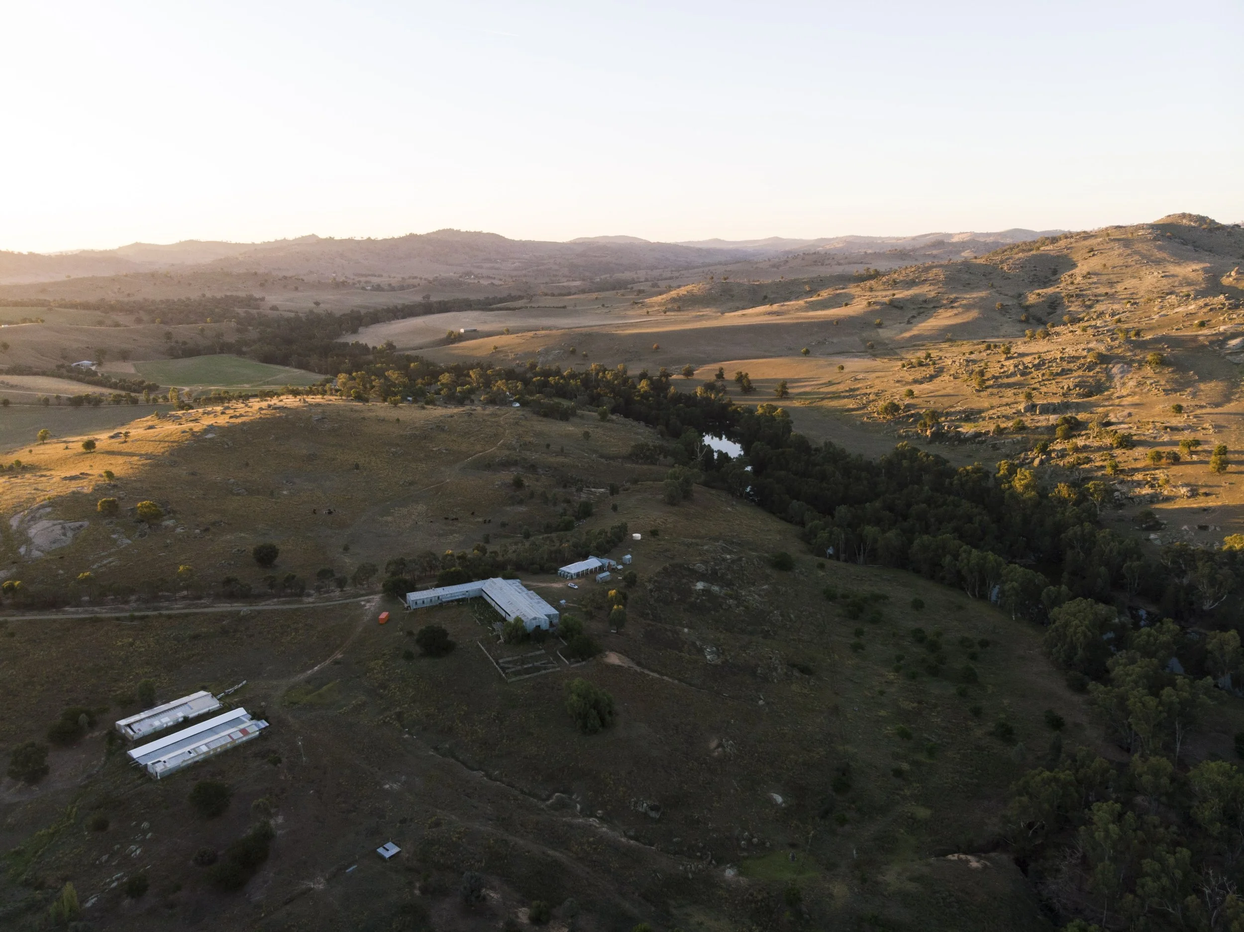 the CORRIDOR project — Visit Cowra
