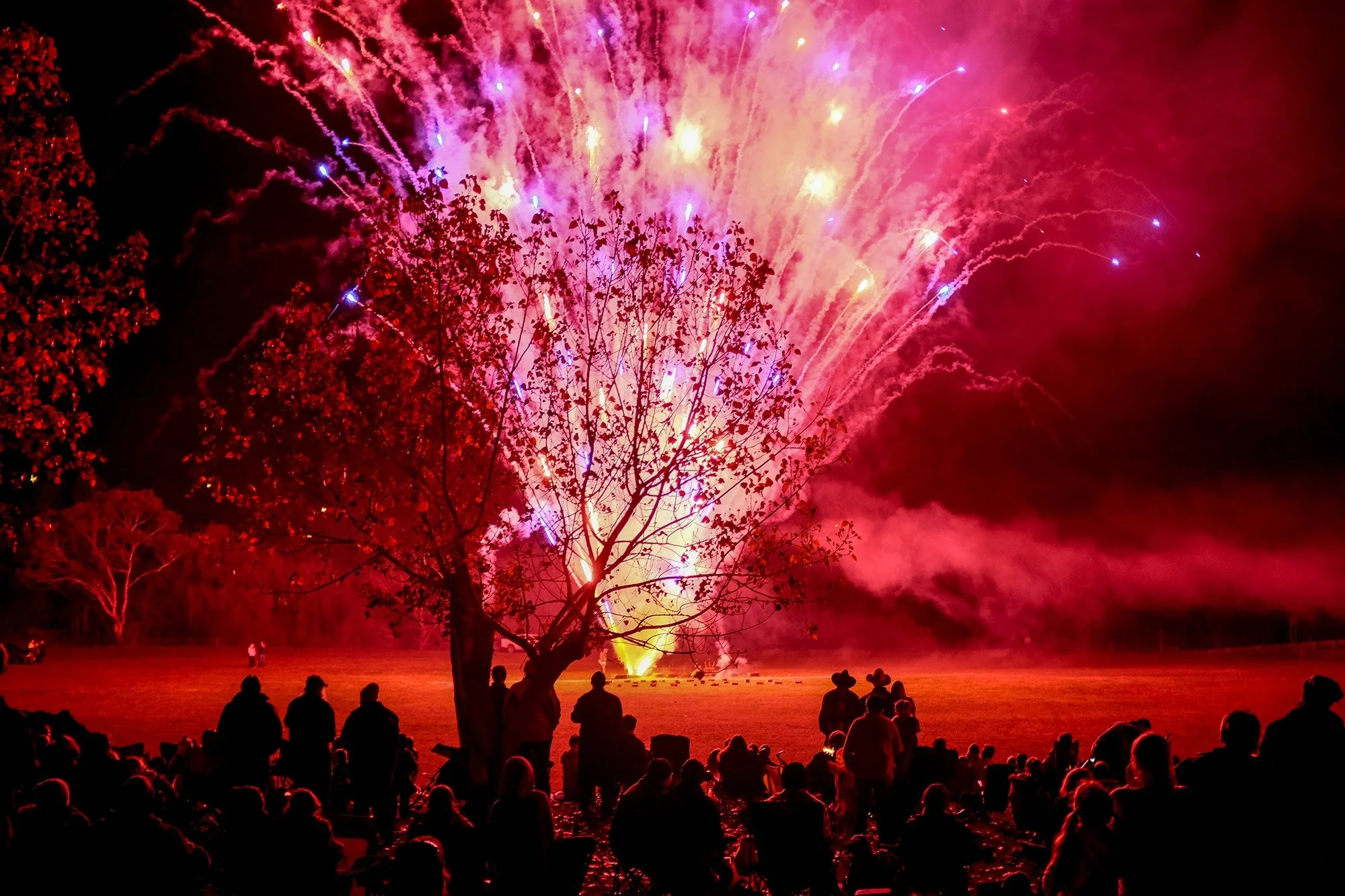 Wyangala Bonfire and Fireworks Spectacular — Visit Cowra