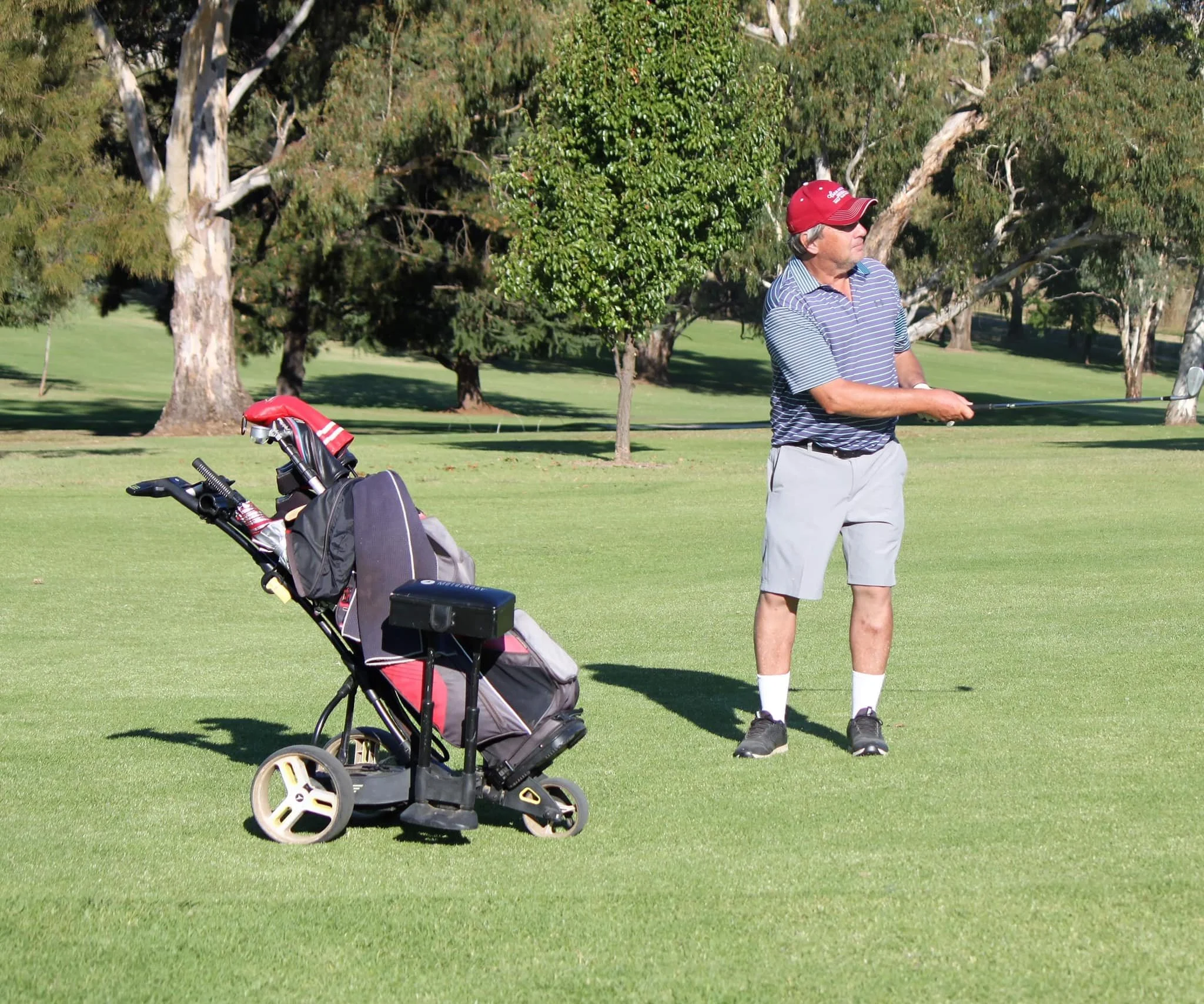 Cowra Golf Club — Visit Cowra