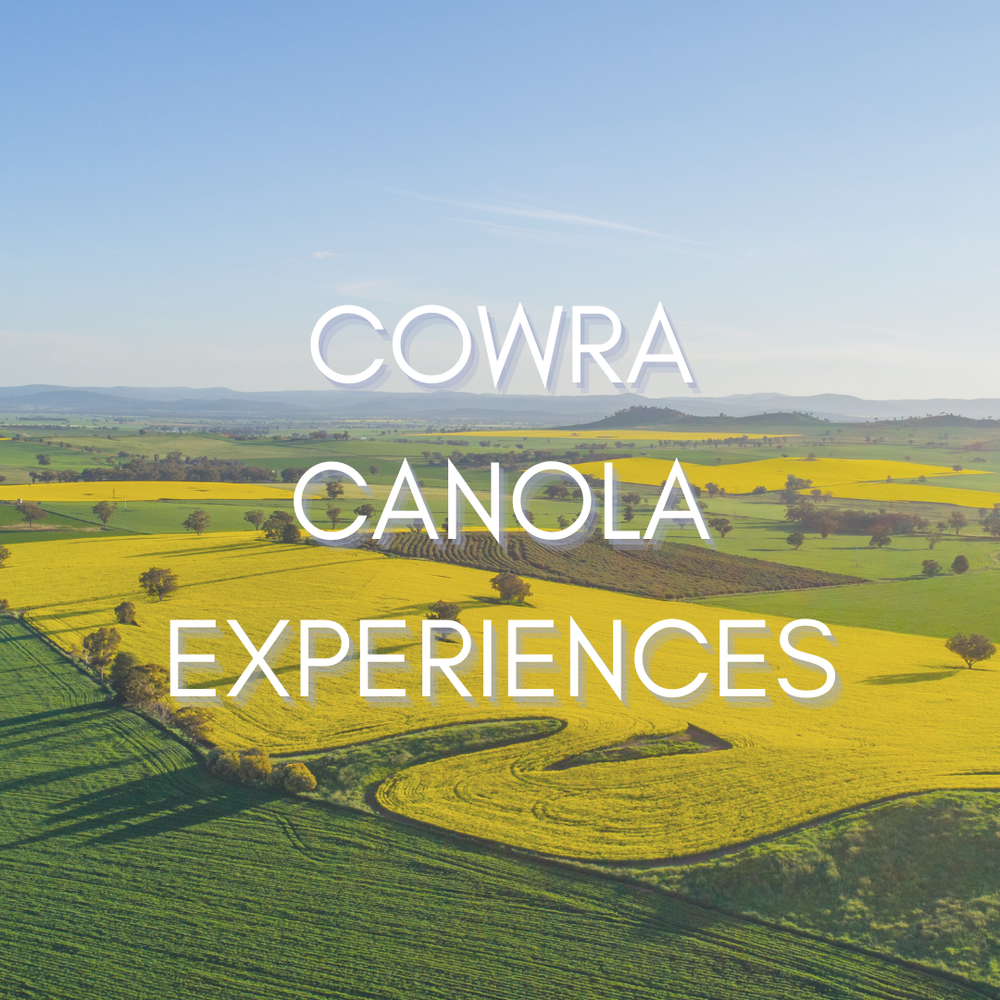 Annual Events — Visit Cowra