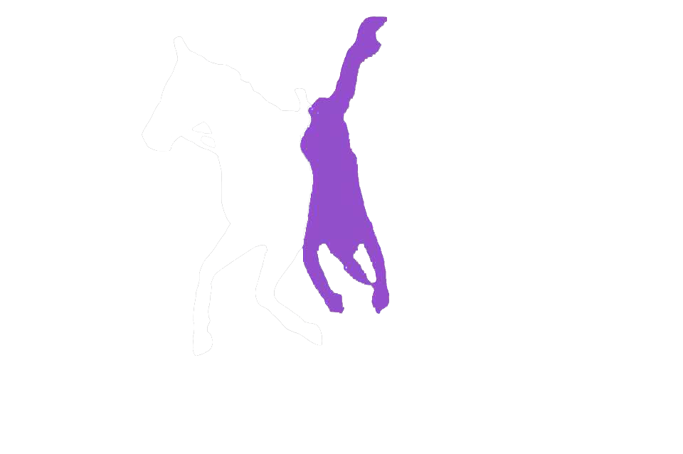 HLS Trick Riding & equestrian services