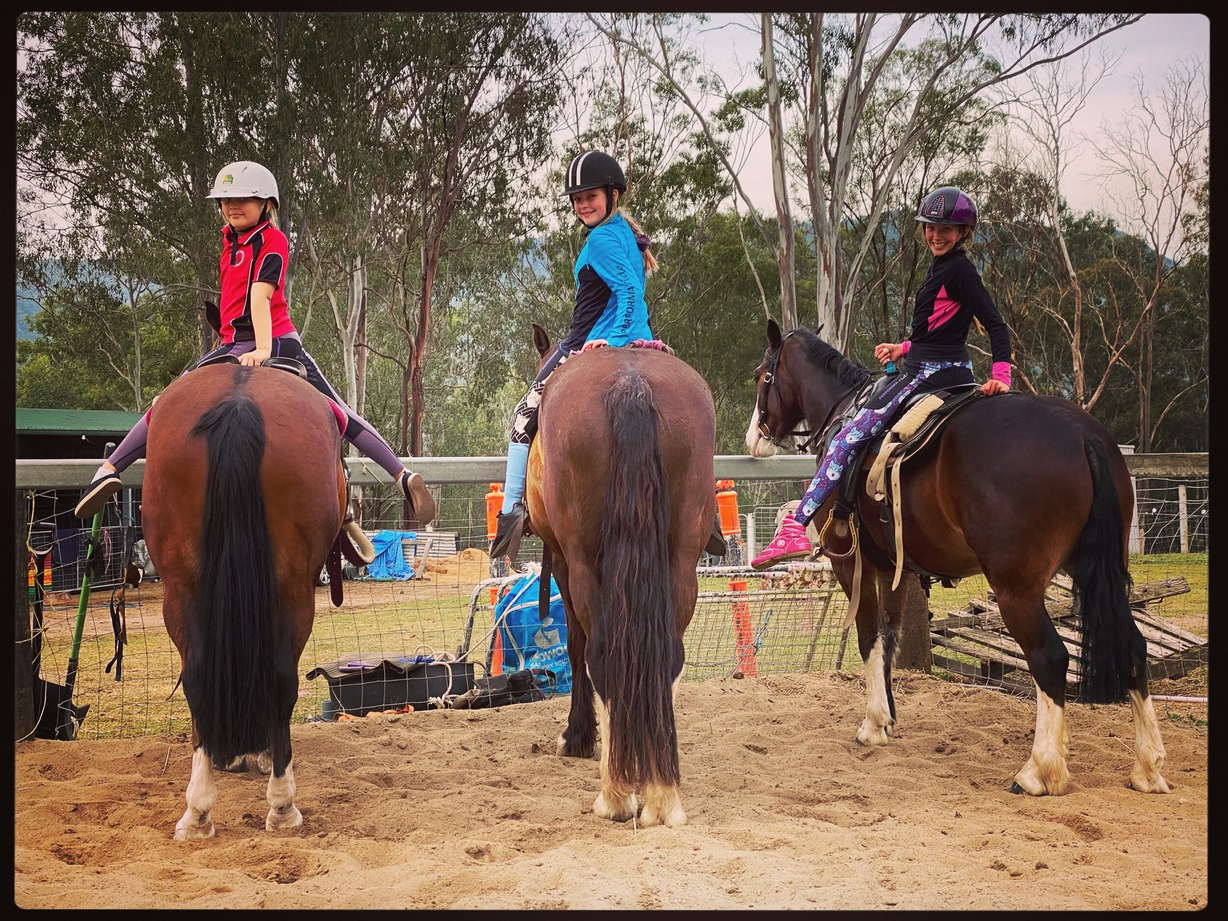 HLS Trick Riding & equestrian services