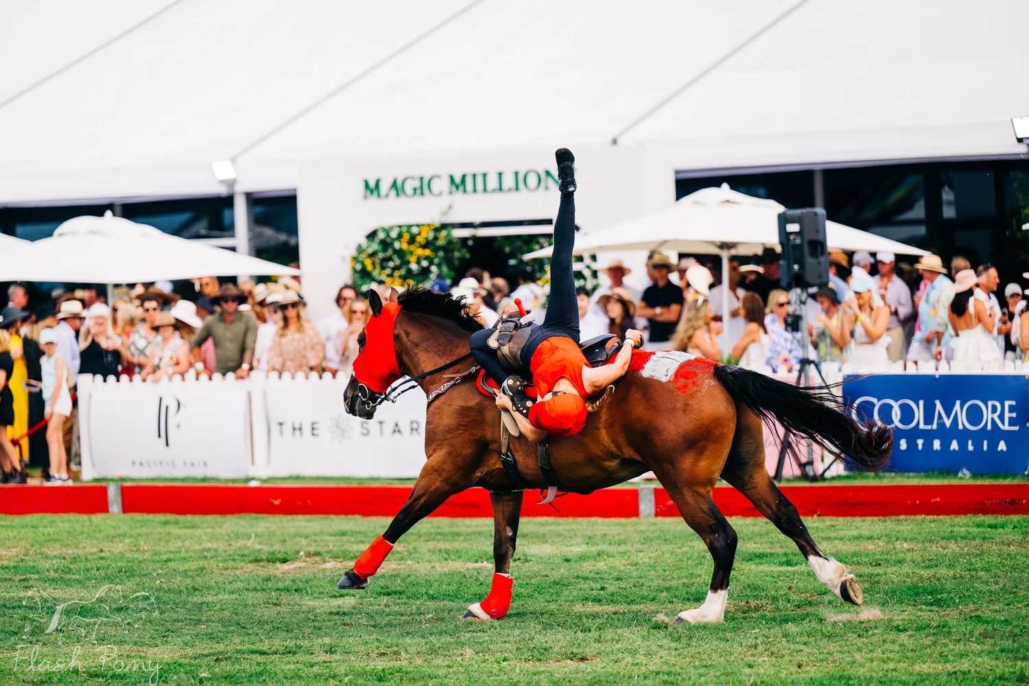 HLS Trick Riding & equestrian services