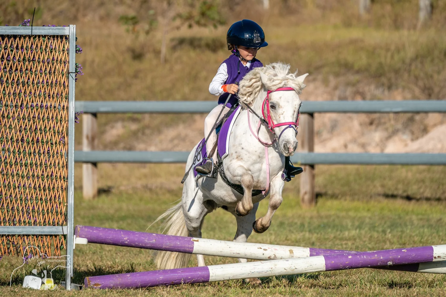 HLS Trick Riding & equestrian services