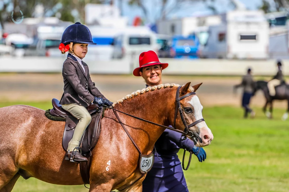 HLS Trick Riding & equestrian services