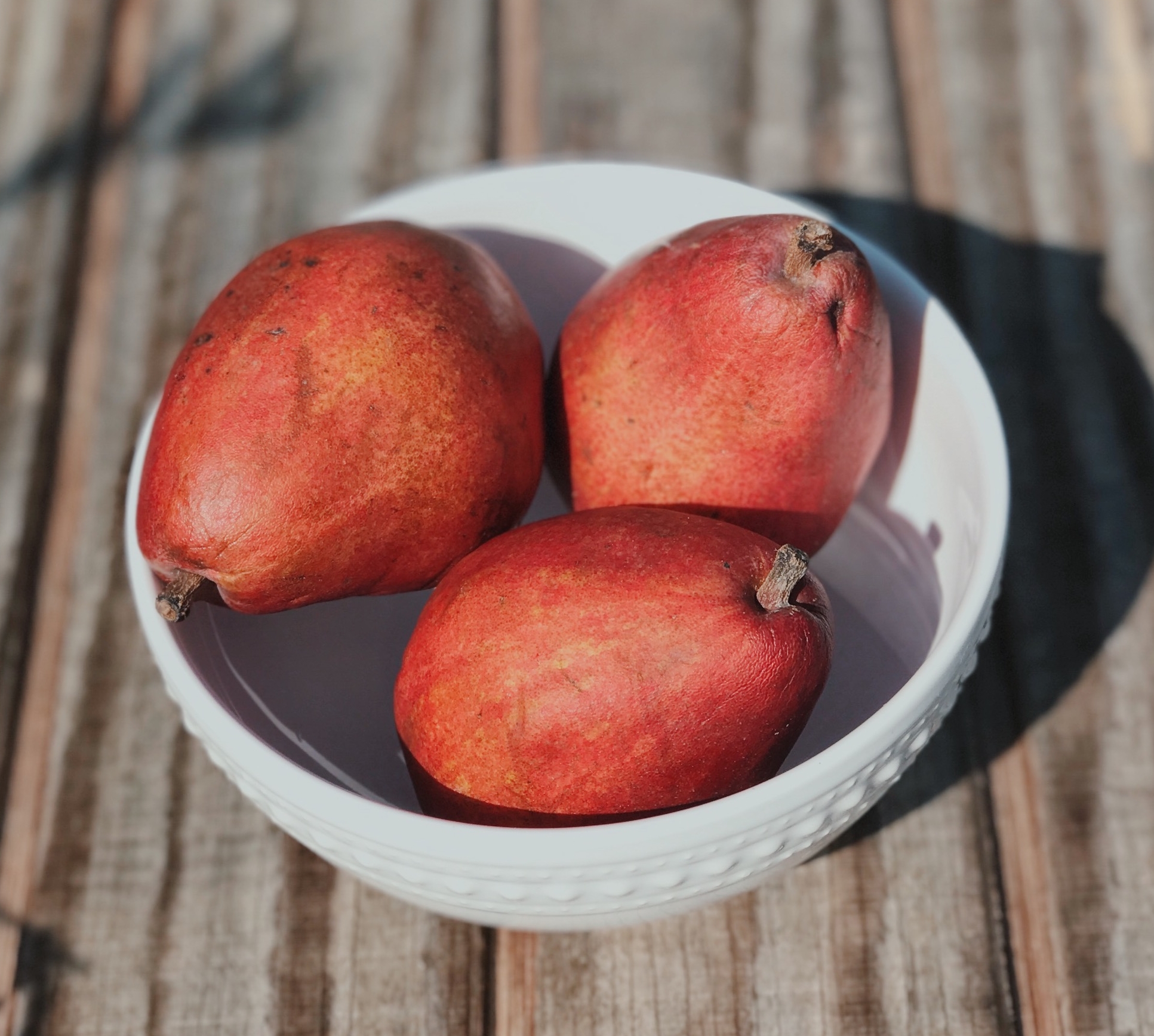 Pears Without the Partridge — Pickett's Pearls