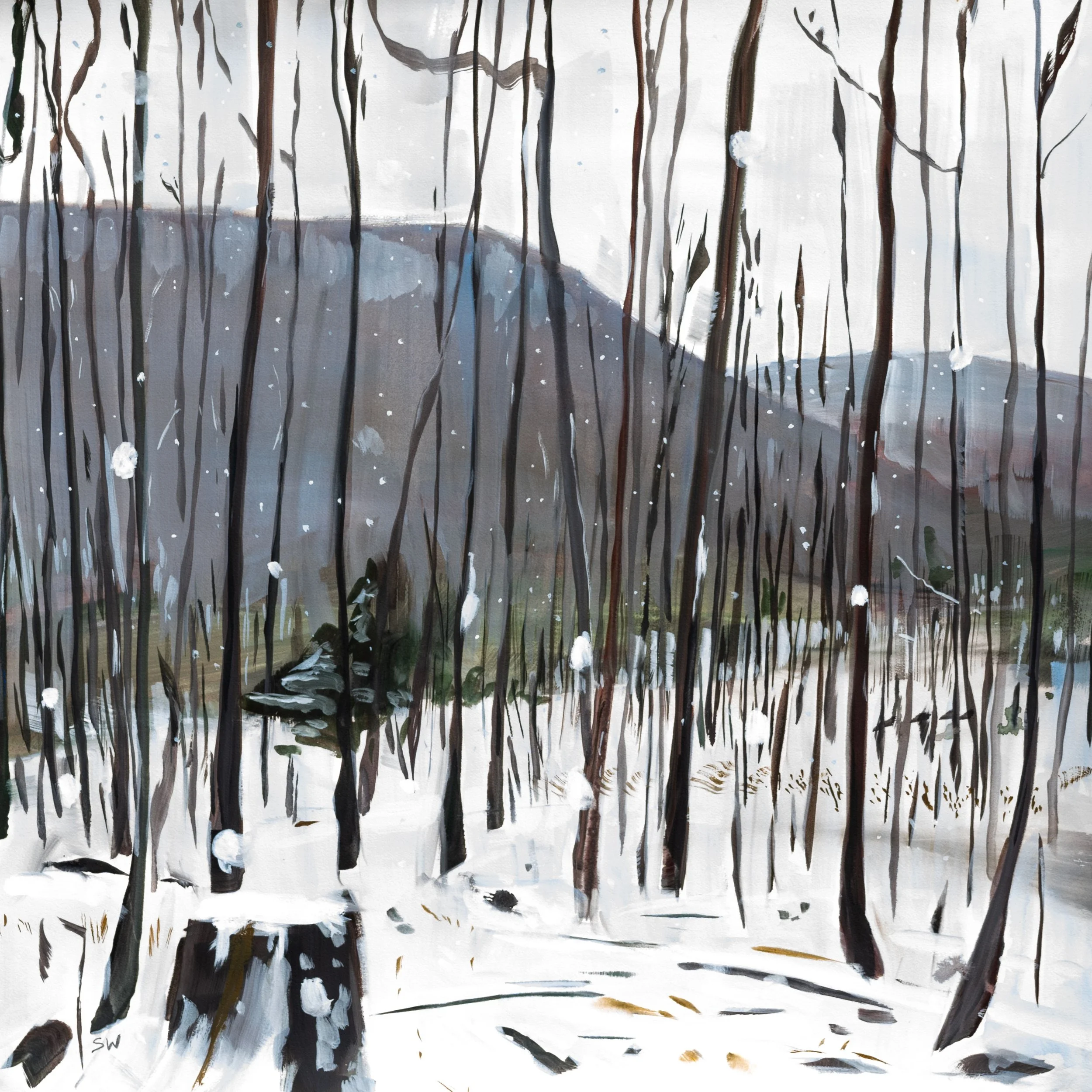 Shop — Steven Weinberg Studio