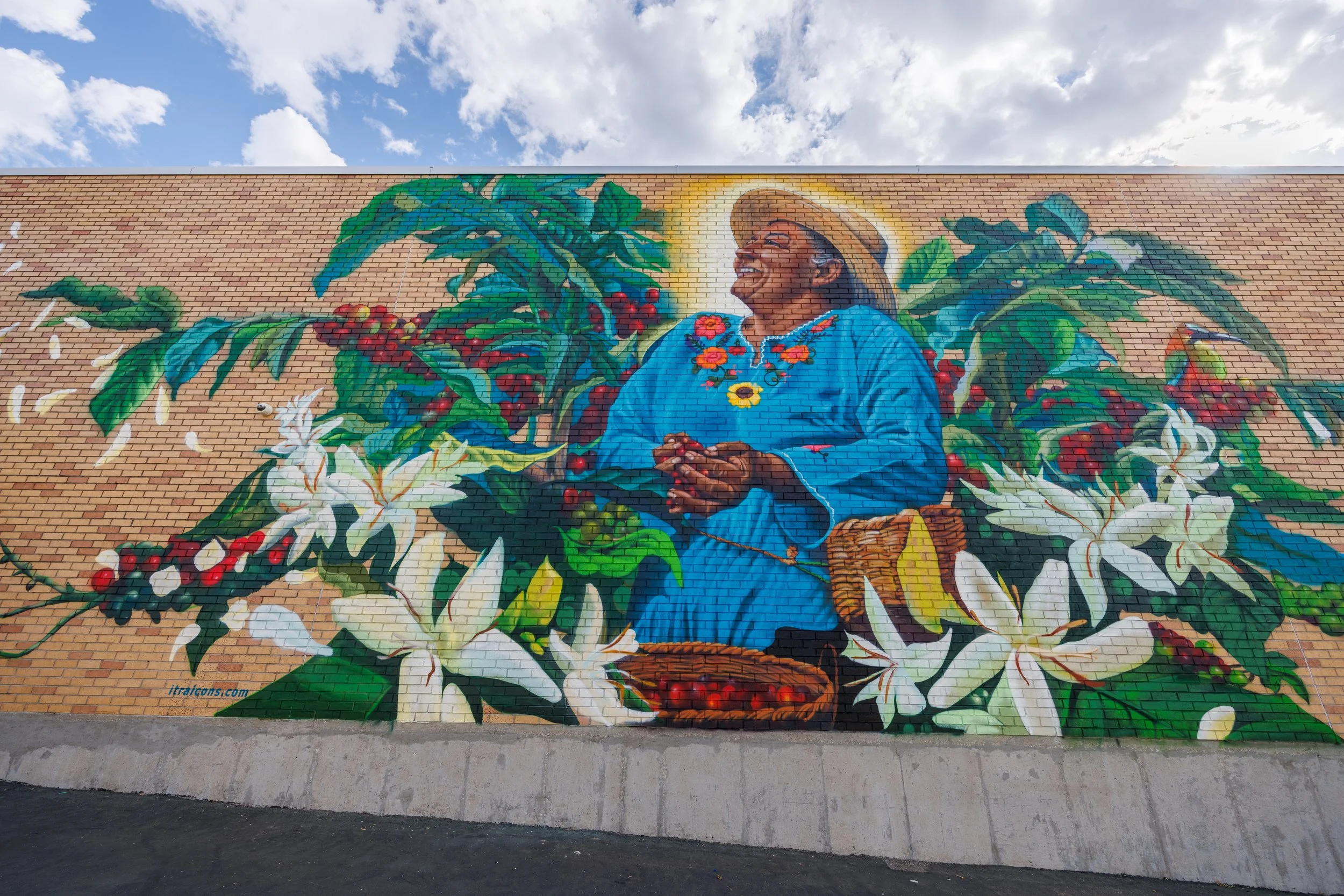 Murals on The Merc — The Merc Co+op