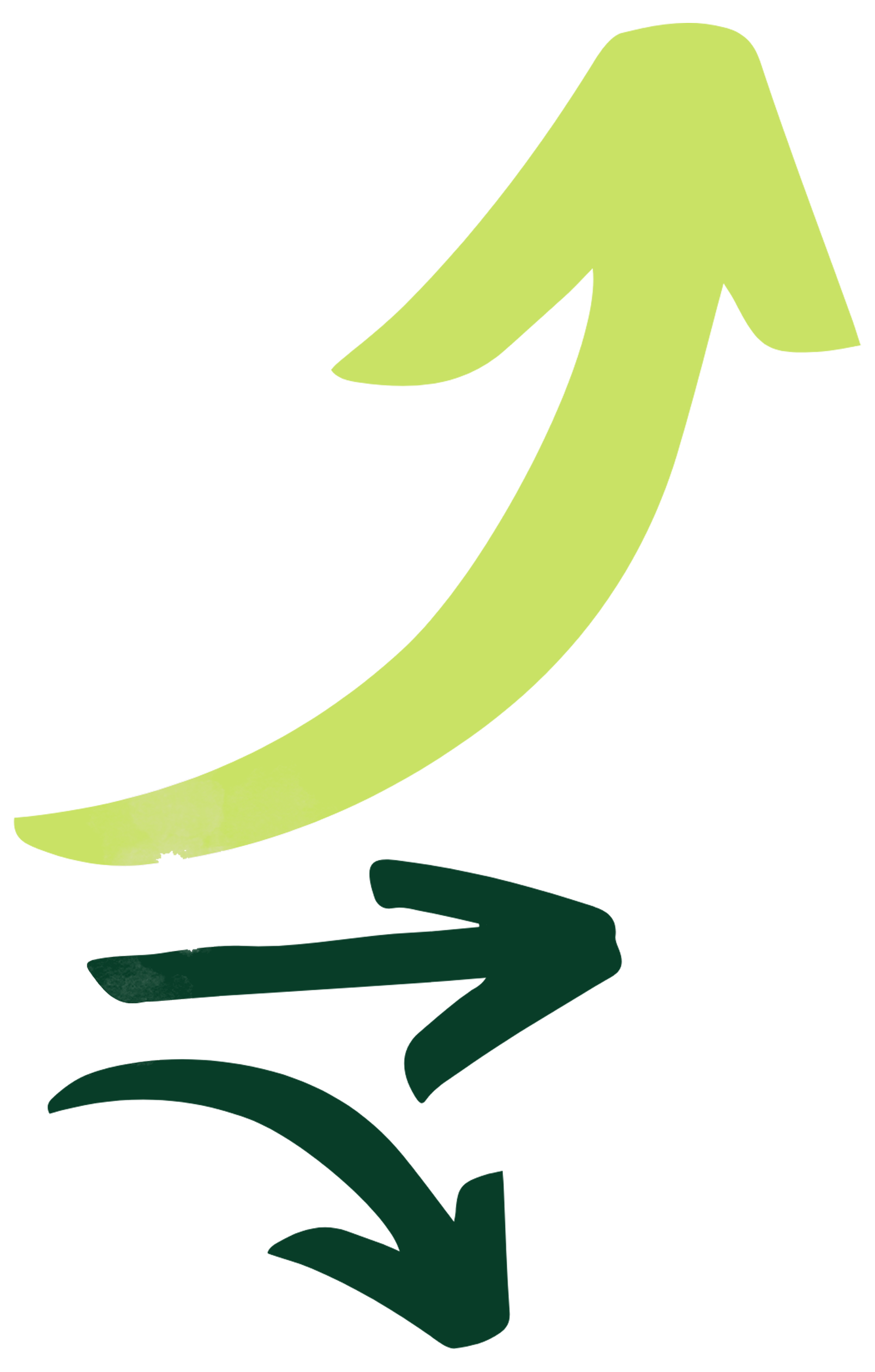 Marion Design Co.Third Path Design Thinking