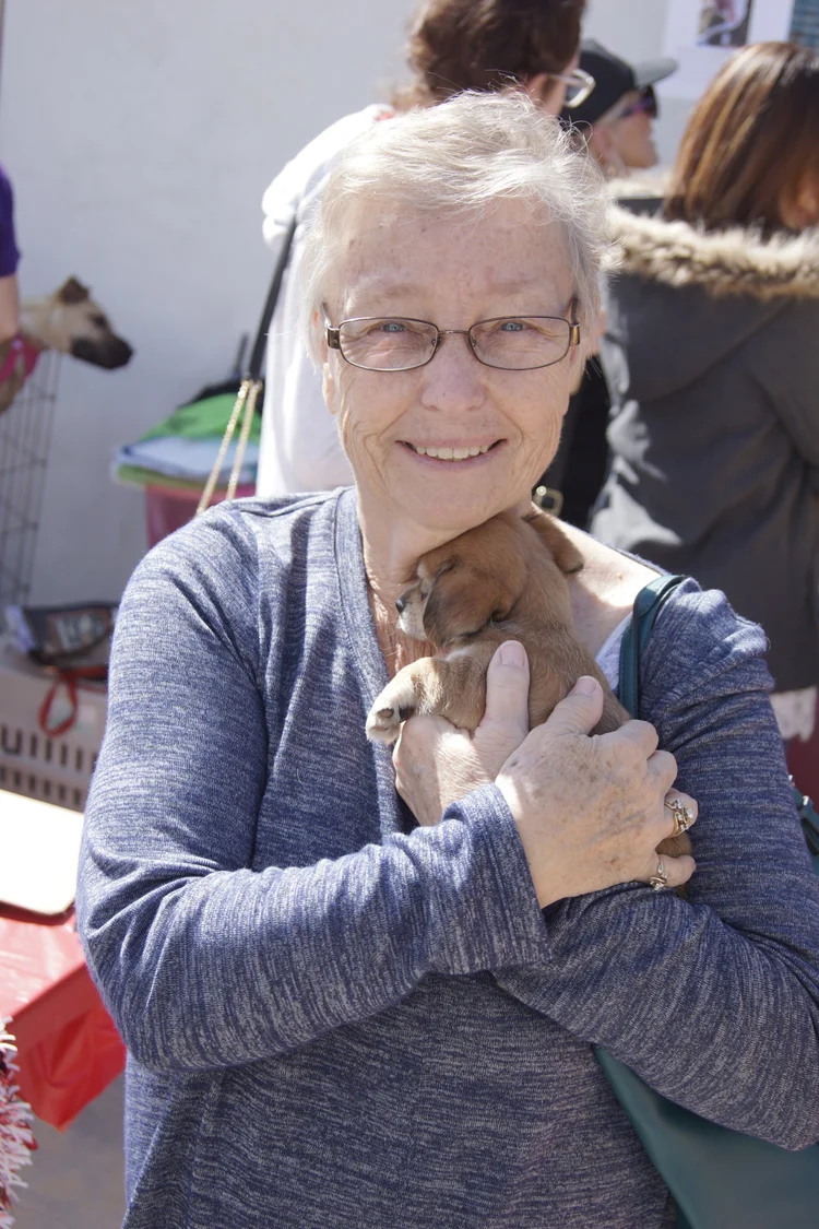 Dogs for Adoption Near Me - San Diego Puppy Rescue
