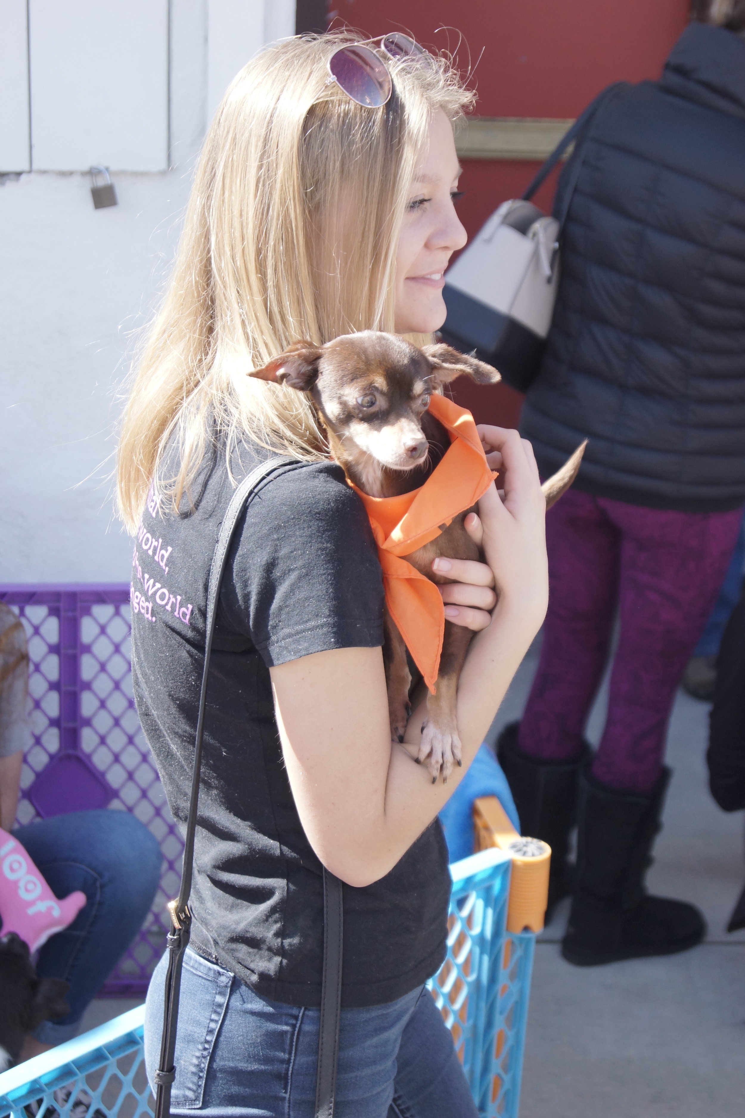 Dogs for Adoption Near Me - San Diego Puppy Rescue