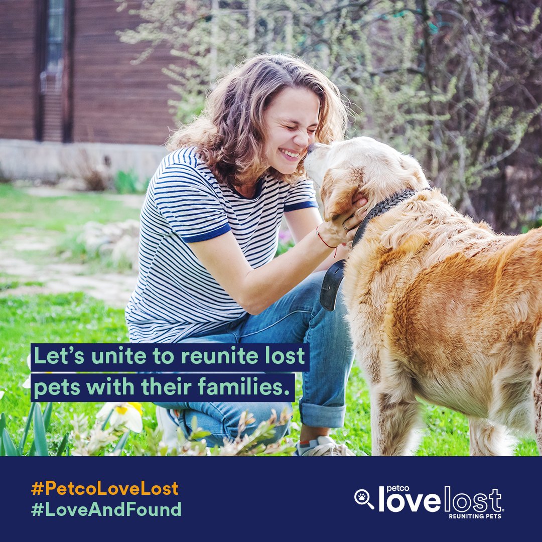 Dogs for Adoption Near Me - San Diego Puppy Rescue