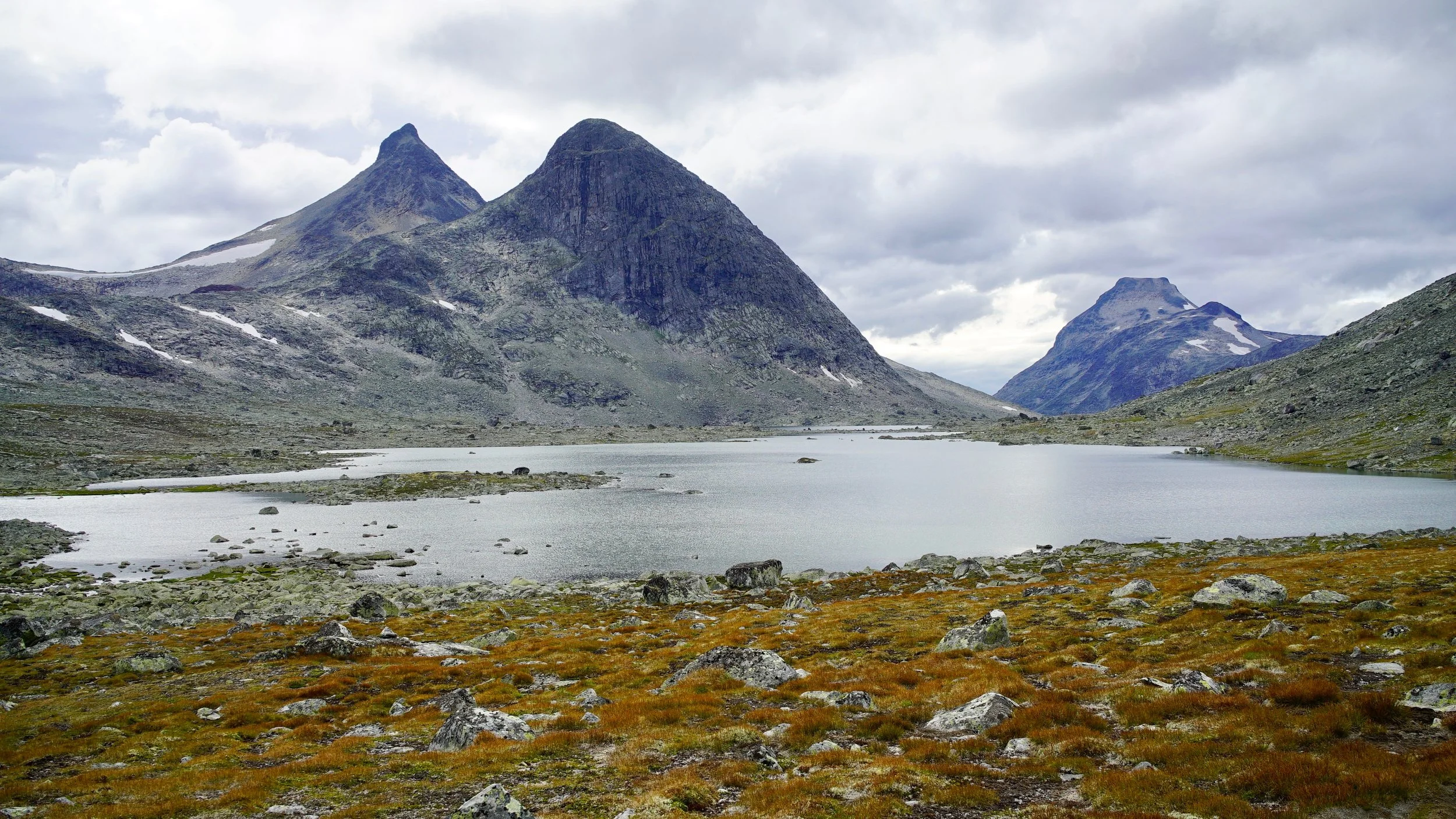 Sascha Taylor Larsen