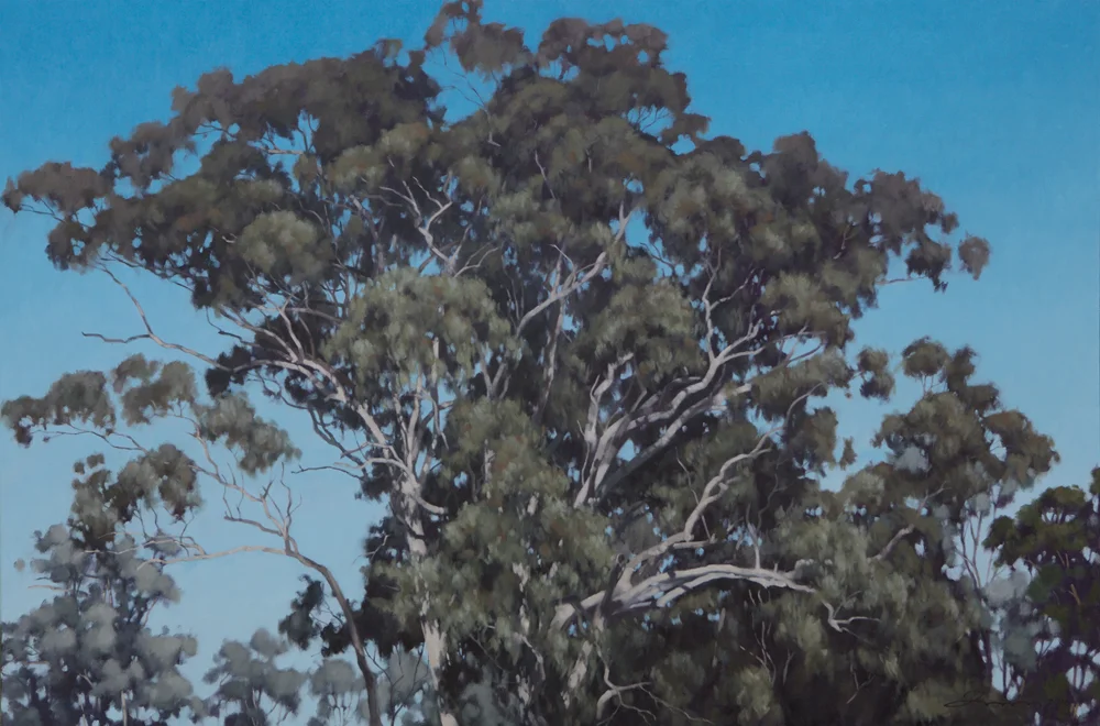 Stephen Travers Art