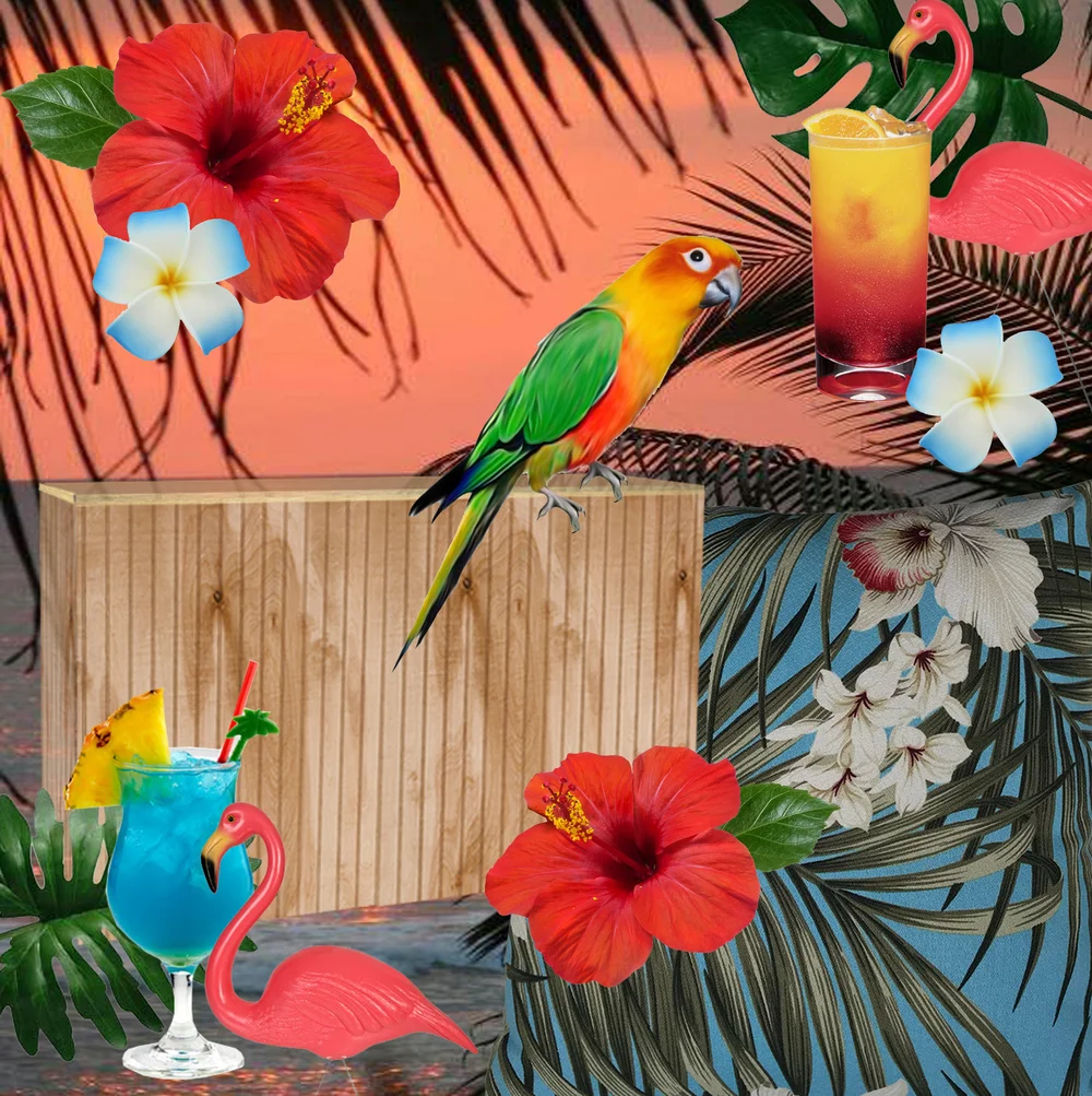 Sunset Inspired Event Rentals