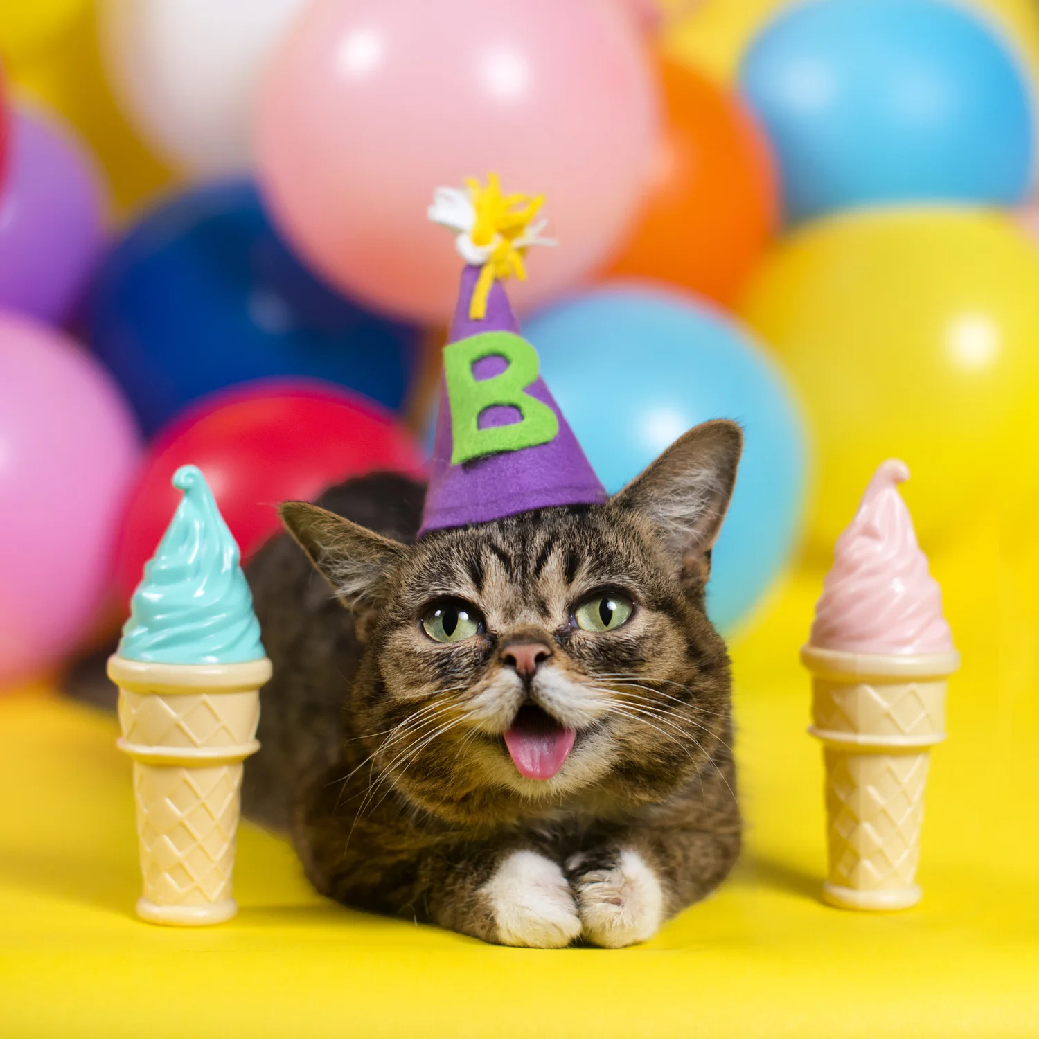 Aesop Rock And Lil Bub
