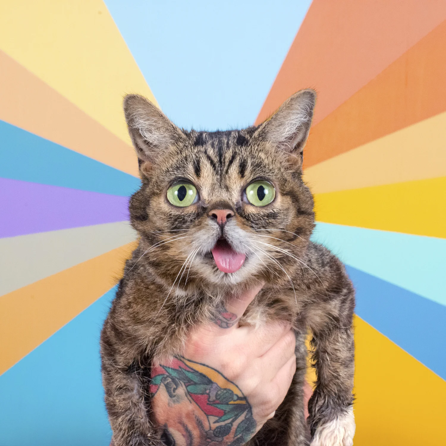 Aesop Rock And Lil Bub