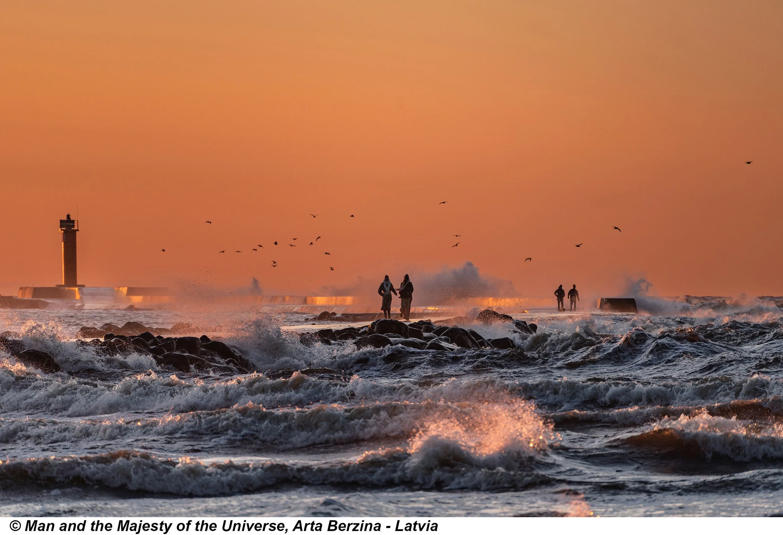 6x6 Centre for Photography