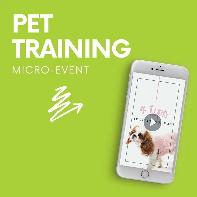 easy-resident-event-ideas-for-apartment-communities-sprout-marketing