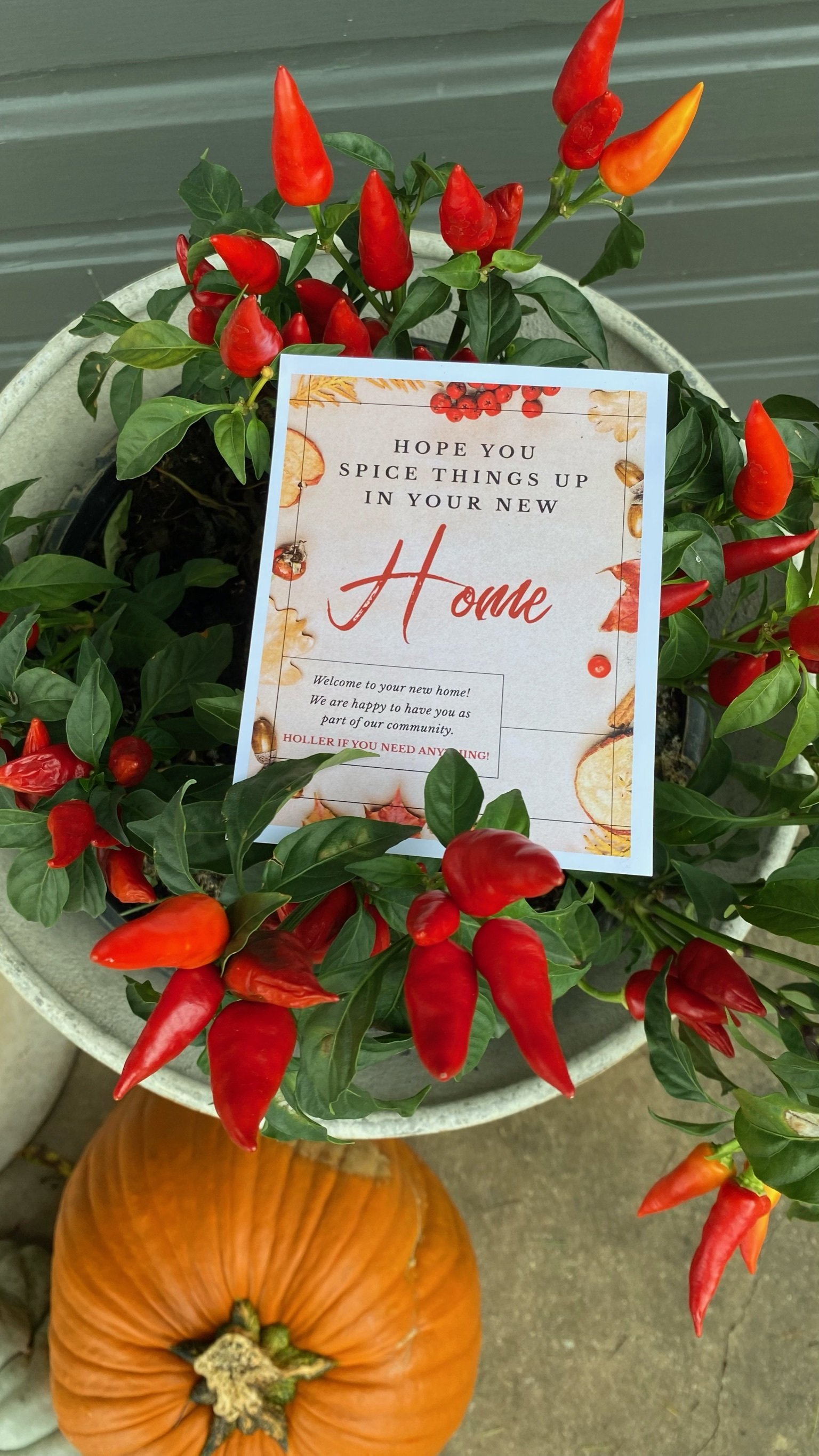 Fall Resident Appreciation Ideas & Easy Gifts — Sprout Marketing