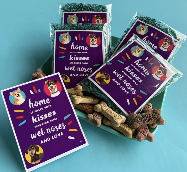 “5 Under $5.00” Ideas for Apartment Move-In & Renewal Gifts — Sprout ...