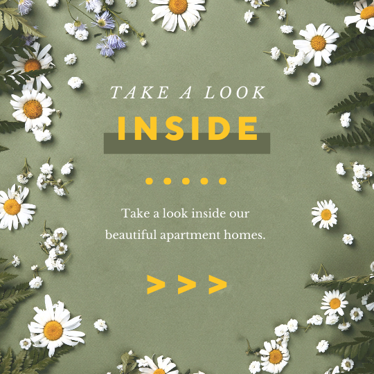 Social Media Posts for Your Apartment Community — Sprout Marketing