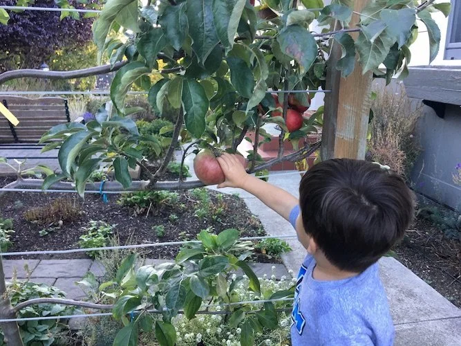 Fall Event Ideas for Apartments — Sprout Marketing