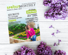 March Apartment Ideas — Sprout Marketing