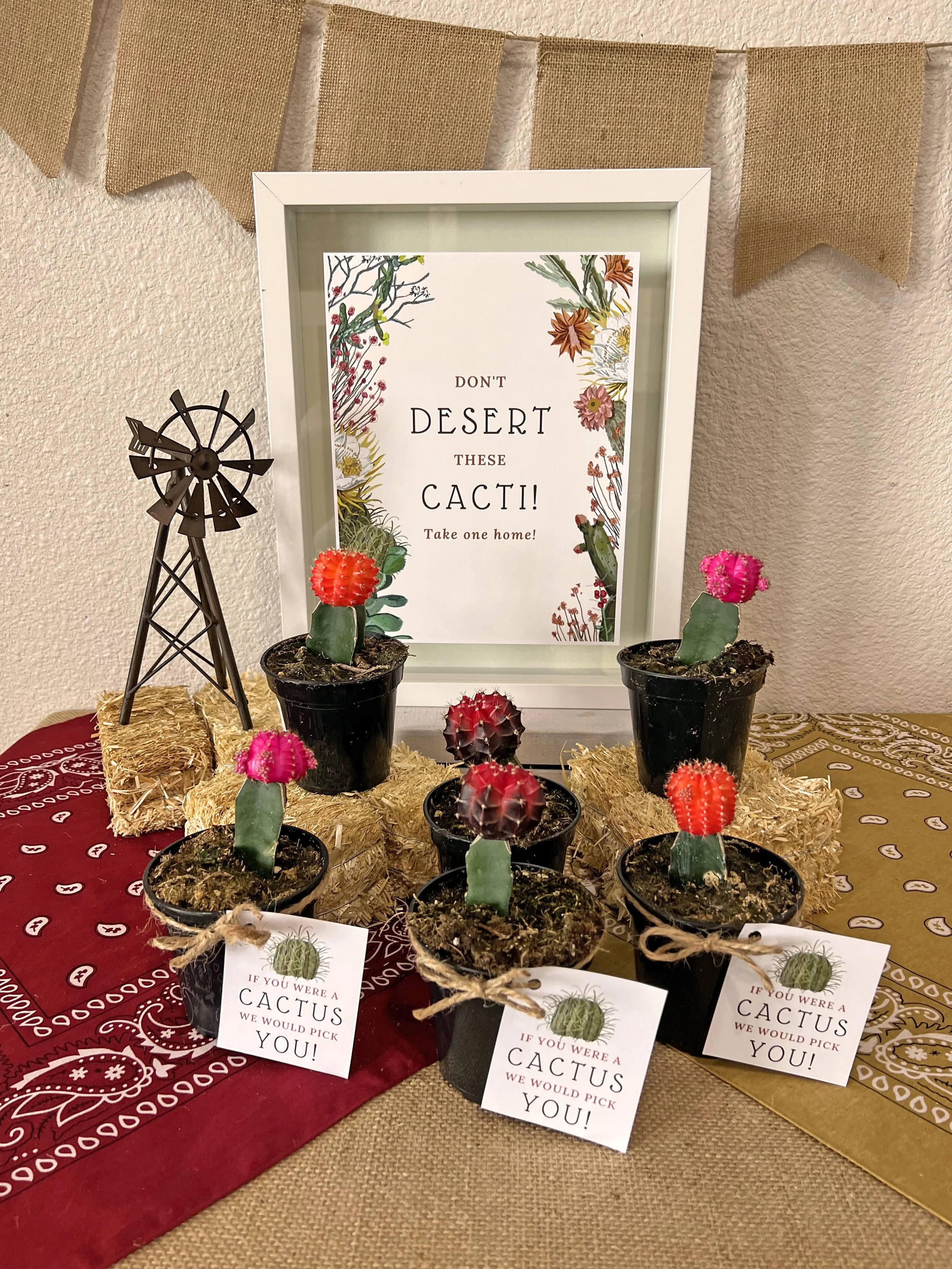 Sprout Marketing - Apartment Marketing Solution