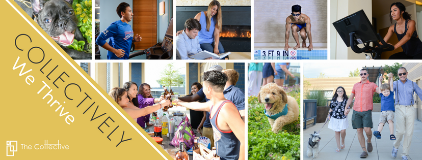 Branding Case Study: The Collective Apartments - How Sprout Branded DC ...